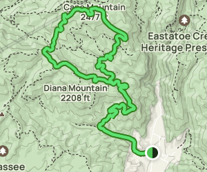 Big Laurel Loop | Map, Guide - South Carolina | AllTrails