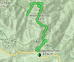 Butterfly Trail Out-and-Back | Map, Guide - Arizona | AllTrails