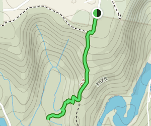 Walls Cave Track: 72 Reviews, Map - New South Wales, Australia | AllTrails