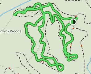 McCormick Woods Outside Loop Spur Trail: 8 fotos - Indiana | AllTrails