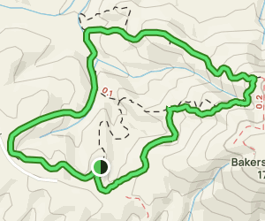Bakers Mountain Loop: 609 Reviews, Map - North Carolina | AllTrails