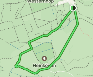 From Undeloh to Wilseder Berg: 25 Reviews, Map - Lower Saxony, Germany ...
