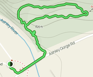 Ashley Gorge Loop Track: 15 Reviews, Map - Canterbury, New Zealand ...