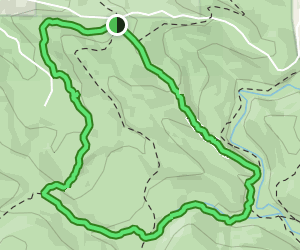 Miller Trail, Rankin Trail, and Hess Trail Loop: 141 Reviews, Map ...