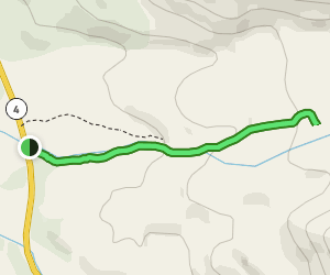 Castner Glacier Trail: 489 Reviews, Map - Alaska | AllTrails