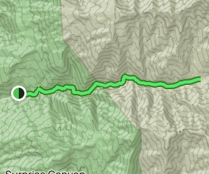 Surprise Canyon Trail: 157 Reviews, 239 Photos, Map - California ...