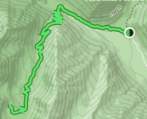 Amber Gulch Trail: 17 Reviews, Map - Idaho | AllTrails