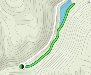 Mirror Lake Trail: 280 Reviews, Map - Arkansas | AllTrails