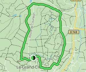 El viñedo y el bosque de Bourgueil a través del Moulin Bleu - Indre-et ...