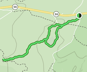 Wolf Rocks via Bog and Boulder Trail: 52 Reviews, Map - Pennsylvania ...