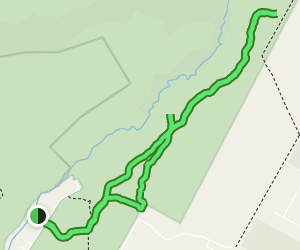 Wekiva River Trail: 16 Reviews, Map - Florida | AllTrails