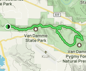 Fern Canyon Scenic Trail: 666 Reviews, Map - California | AllTrails