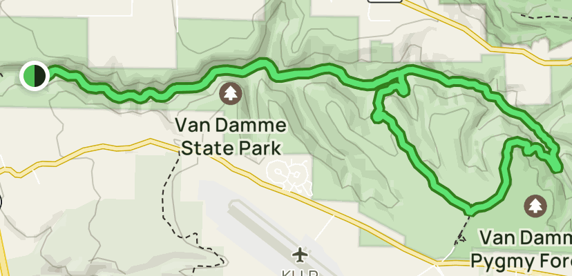 Are Dogs Allowed At Van Damme State Park In California