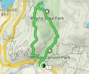 Whyte Lake via Old Helipad Route and Nelson Creek Trail: 1 193 foton ...