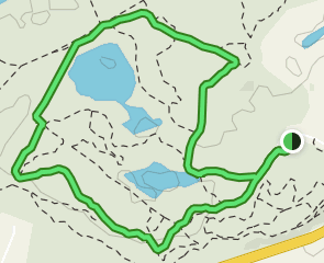 Pippy Park Loop: 101 Reviews, Map - Newfoundland and Labrador, Canada ...