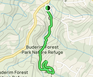 Buderim Forest Park and Falls: 126 Reviews, Map - Queensland, Australia ...