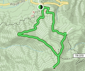 Siler Bald Loop: 202 Reviews, Map - North Carolina | AllTrails
