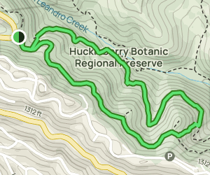 Huckleberry Preserve Short Loop: 607 Reviews, Map - California | AllTrails