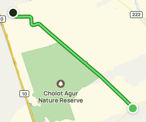 Shivta Forest to Bnei Netzarim via Haless Canyon: 2 Reviews, Map ...