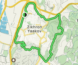 Zichron Yaakov Circuit, 58 Photos - Haifa, Israël | AllTrails