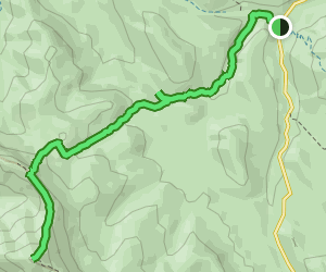 Boundary Peak: 23 Reviews, Map - Alberta, Canada | AllTrails