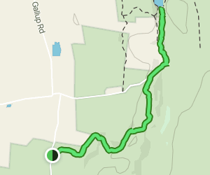 The Narragansett Trail from Tom Wheeler Road: 64 Reviews, Map ...