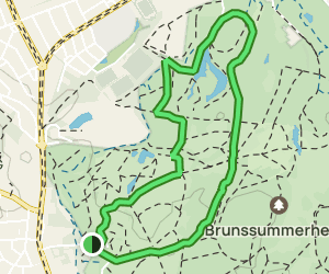 Brunssummerheide Lichtblauwe Wandelroute, 80 Photos - Province de ...