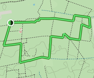 Rendlesham Forest UFO Site Circular: 55 Reviews, Map - Suffolk, England ...