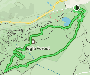 Llandegla Forest Blue Route | Map, Guide - Wrexham, Wales | AllTrails