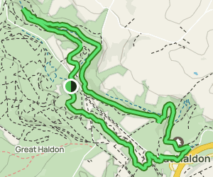 Haldon Gateway and Ridge Ride Trail Circular - Devon, England | AllTrails
