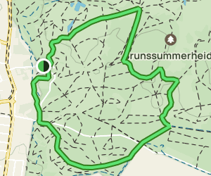 Brunssummerheide Light Green Trail: 23 Reviews, Map - Limburg ...