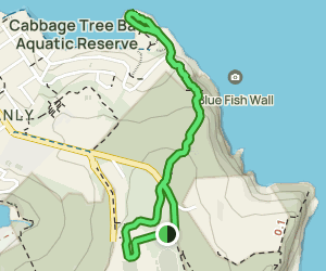Blue Fish Track: 73 Reviews, Map - New South Wales, Australia | AllTrails