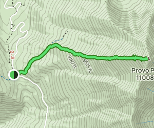 Provo Peak Trail: 88 Reviews, 166 Photos, Map - Utah | AllTrails