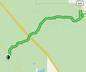 Florida Trail: Three Lakes WMA: 5 Reviews, Map - Florida | AllTrails