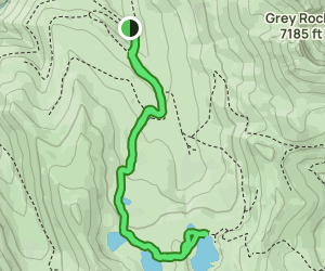 Tamarack Lake: 6 Reviews, Map - California | AllTrails