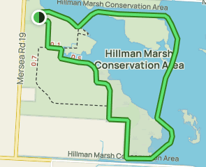 Hillman Marsh Loop, Ontario, Canada - 106 Reviews, Map | AllTrails
