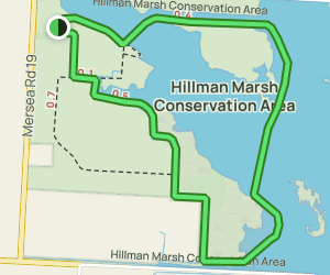 Hillman Marsh Loop: 107 foto's - Ontario, Canada | AllTrails