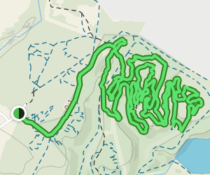 Chicopee Mtb Loop: 68 Reviews, Map - Massachusetts | AllTrails