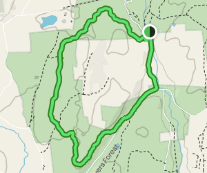 Nipmuck Trail Loop: 160 Reviews, Map - Connecticut | AllTrails
