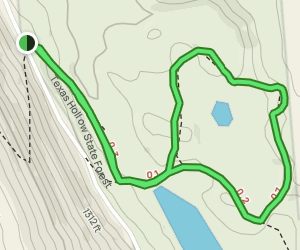 Bog Loop via Finger Lakes/North Country Trail: 20 Reviews, Map - New ...