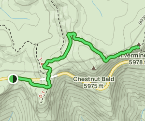 Silvermine Bald from Devil's Courthouse Overlook | Map, Guide - North ...