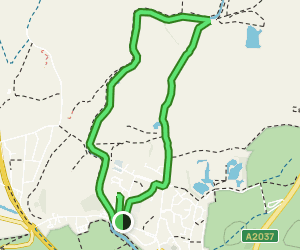 River Adur Circular Walk: 41 Reviews, Map - West Sussex, England ...