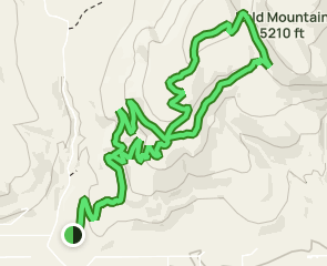 Bald Mountain Loop: 21 Reviews, Map - California | AllTrails