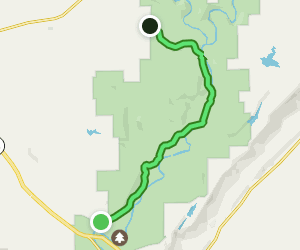 Little River Backcountry Road: 107 Reviews, Map - Alabama | AllTrails