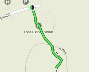 Fossil Bone Exhibit Trail, Texas - 80 Reviews, Map | AllTrails
