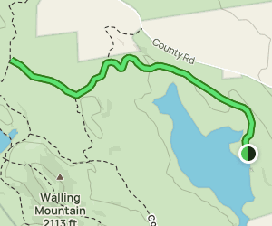 Buckley Dunton Trail: 3 Reviews, Map - Massachusetts | AllTrails