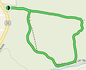 Nelson Swamp Nature Trail, New York - 60 Reviews, Map | AllTrails