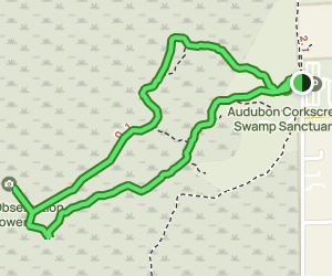 Corkscrew Swamp Sanctuary Trail: 297 Reviews, Map - Florida | AllTrails