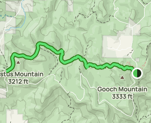 Gooch Gap to Cooper Gap via Appalachian Trail, Georgia - 221 Reviews ...