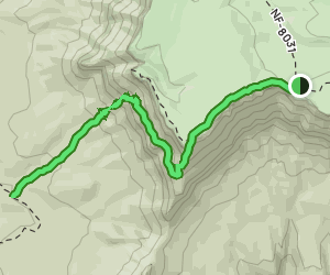 Bill Hall Trail: 35 Reviews, Map - Arizona | AllTrails